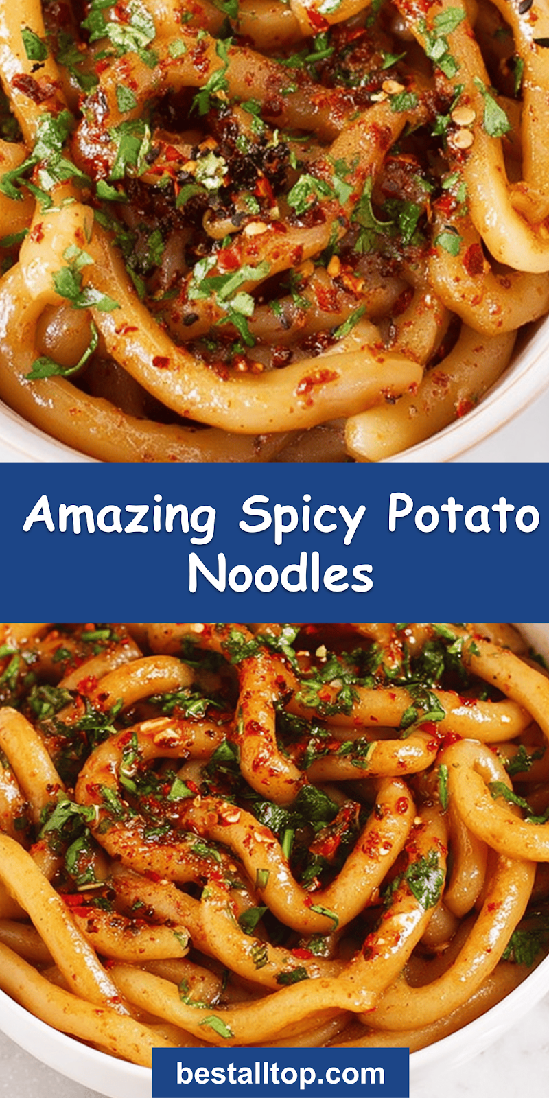 Spicy Potato Noodles – bestalltop.com
